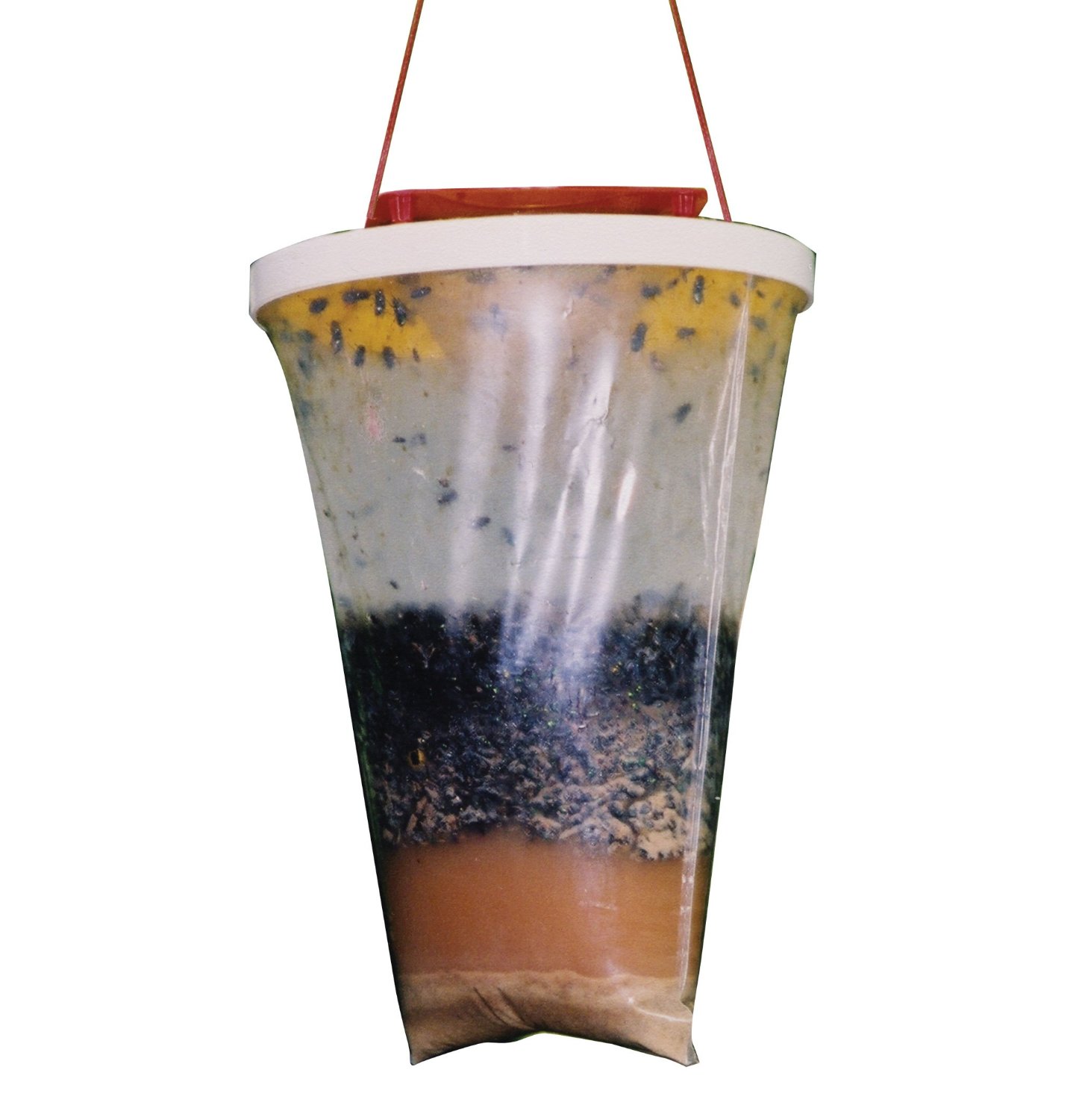 Flies Be Gone – Non Toxic Fly Trap – fishingnew